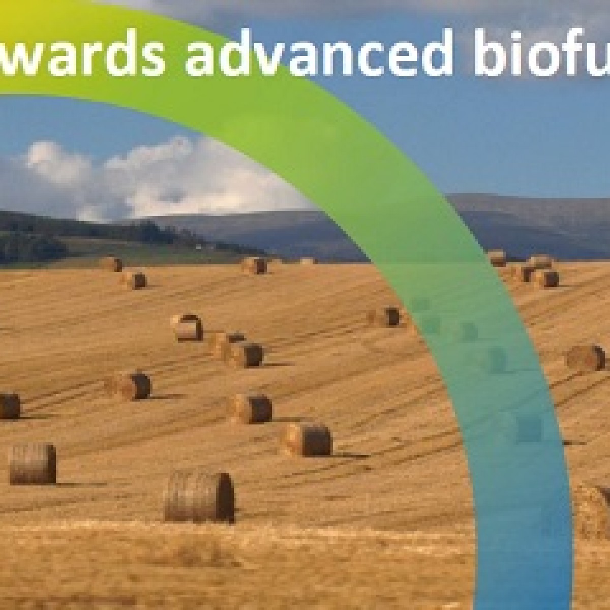 Options for the evolution of first generation biofuel production sites ...